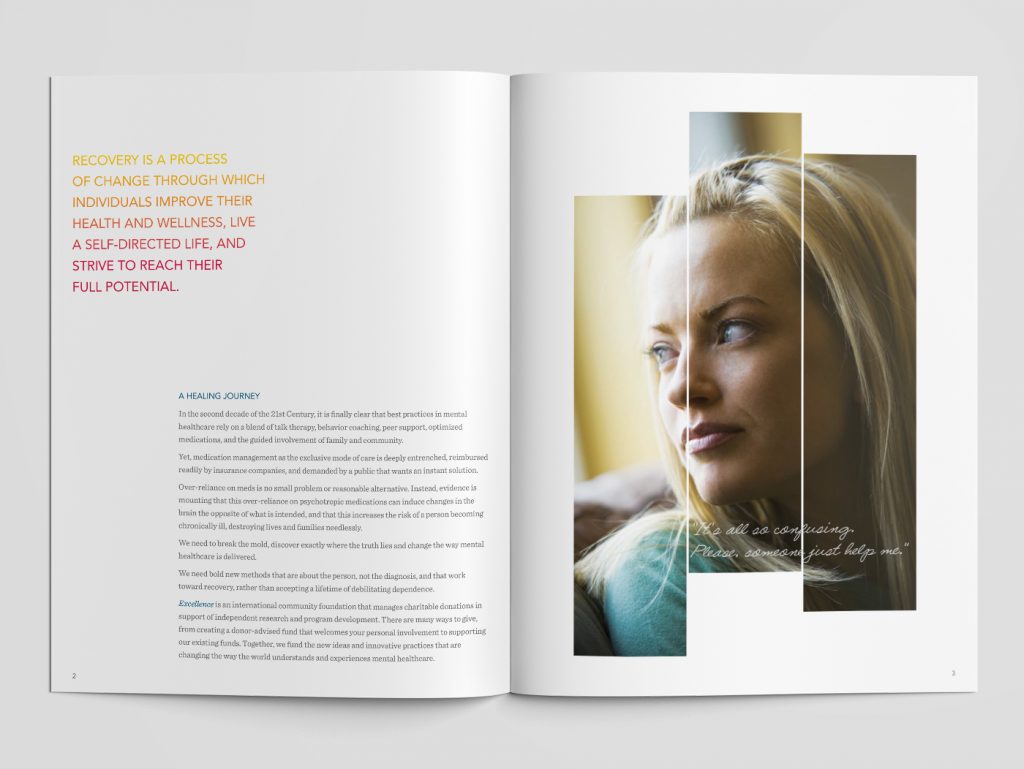 Foundation for Excellence in Mental Health Care | Kleidon